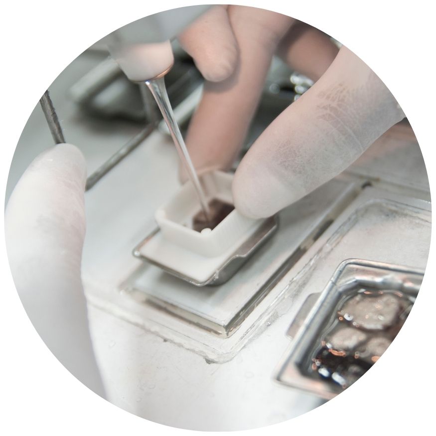 Embedding Cassettes – Medilab Marketplace