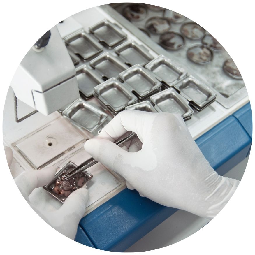 Embedding Accessories – Medilab Marketplace