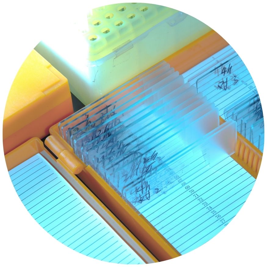 Microslide Boxes – Medilab Marketplace
