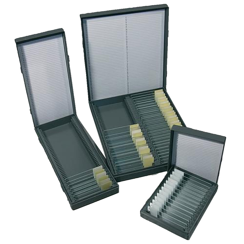 Aptaca Microslide Box – Holds 50 Slides, Grey Polystyrene – Medilab ...